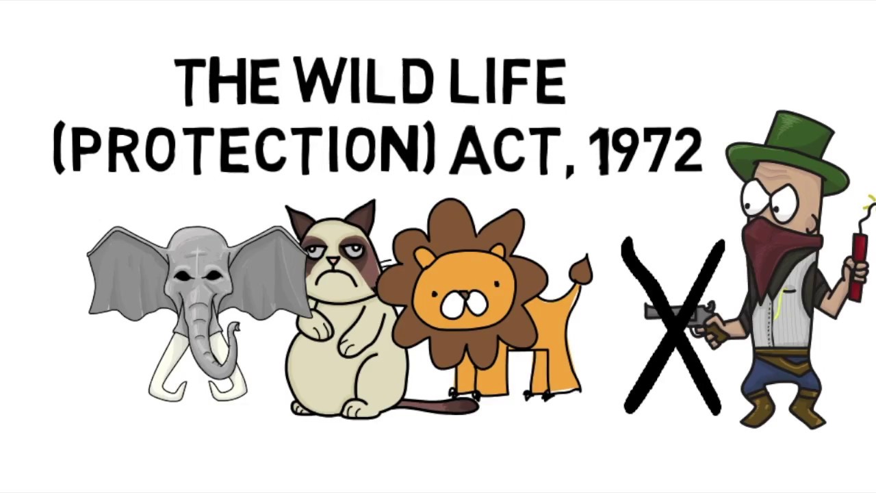 Wildlife (Protection) Act (WPA), 1972 ‣ WiFi Skool